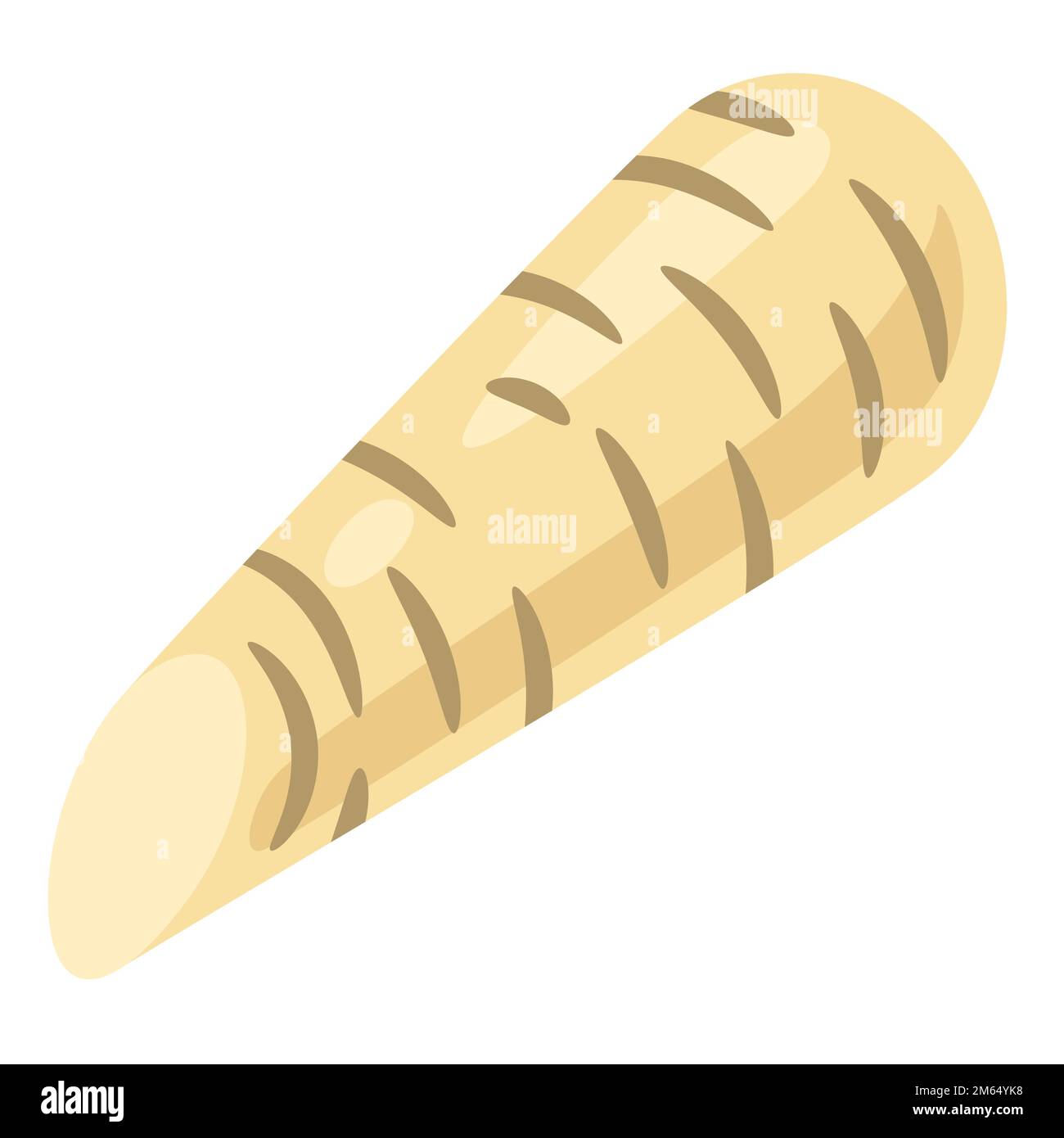 Illustration of horseradish. Image for gastronomy and agricultural ...