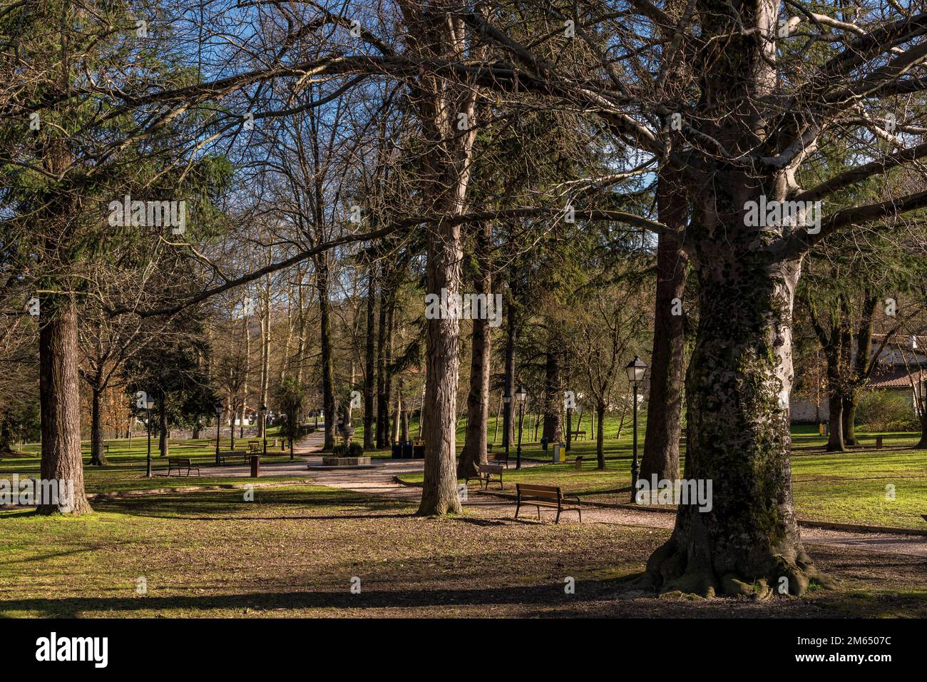 park with huge trees paths and benches in front of the Sanctuary of ...