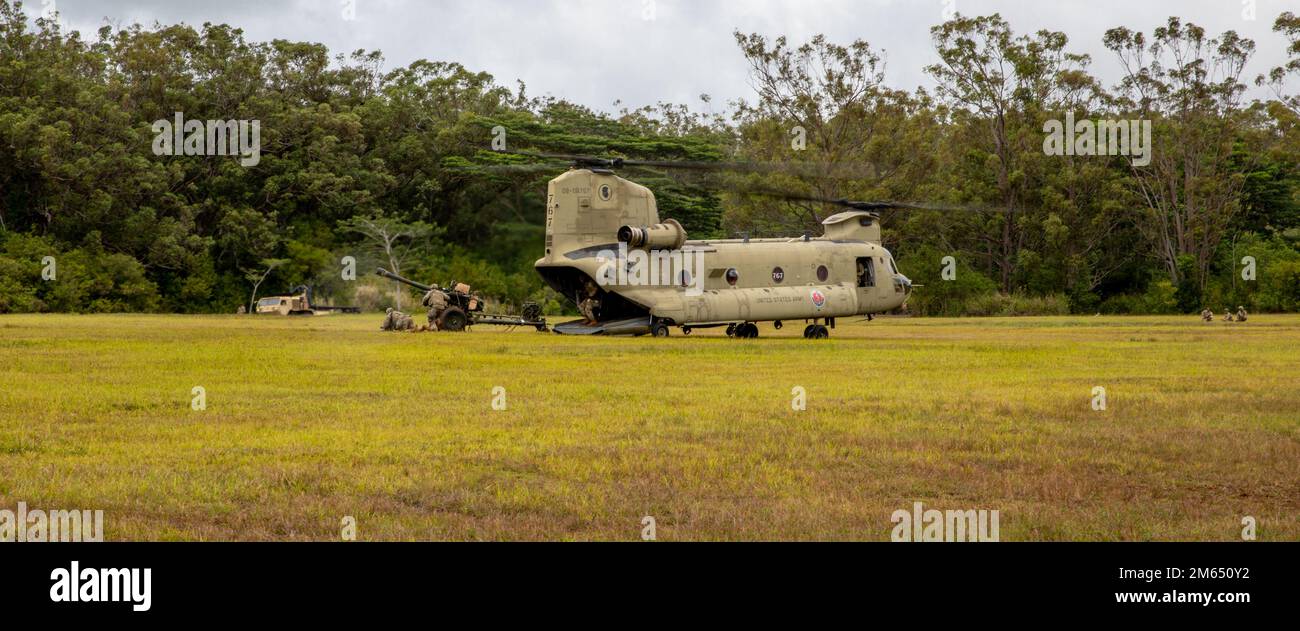 Hawaii Army National Guard Soldiers of Bravo Battery, 1st Battalion ...