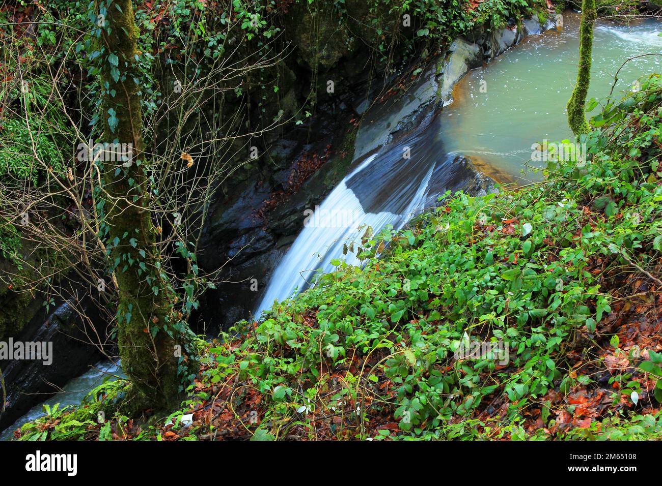 Beautiful waterfall in the forest. Lerik. Masalli region. Azerbaijan ...