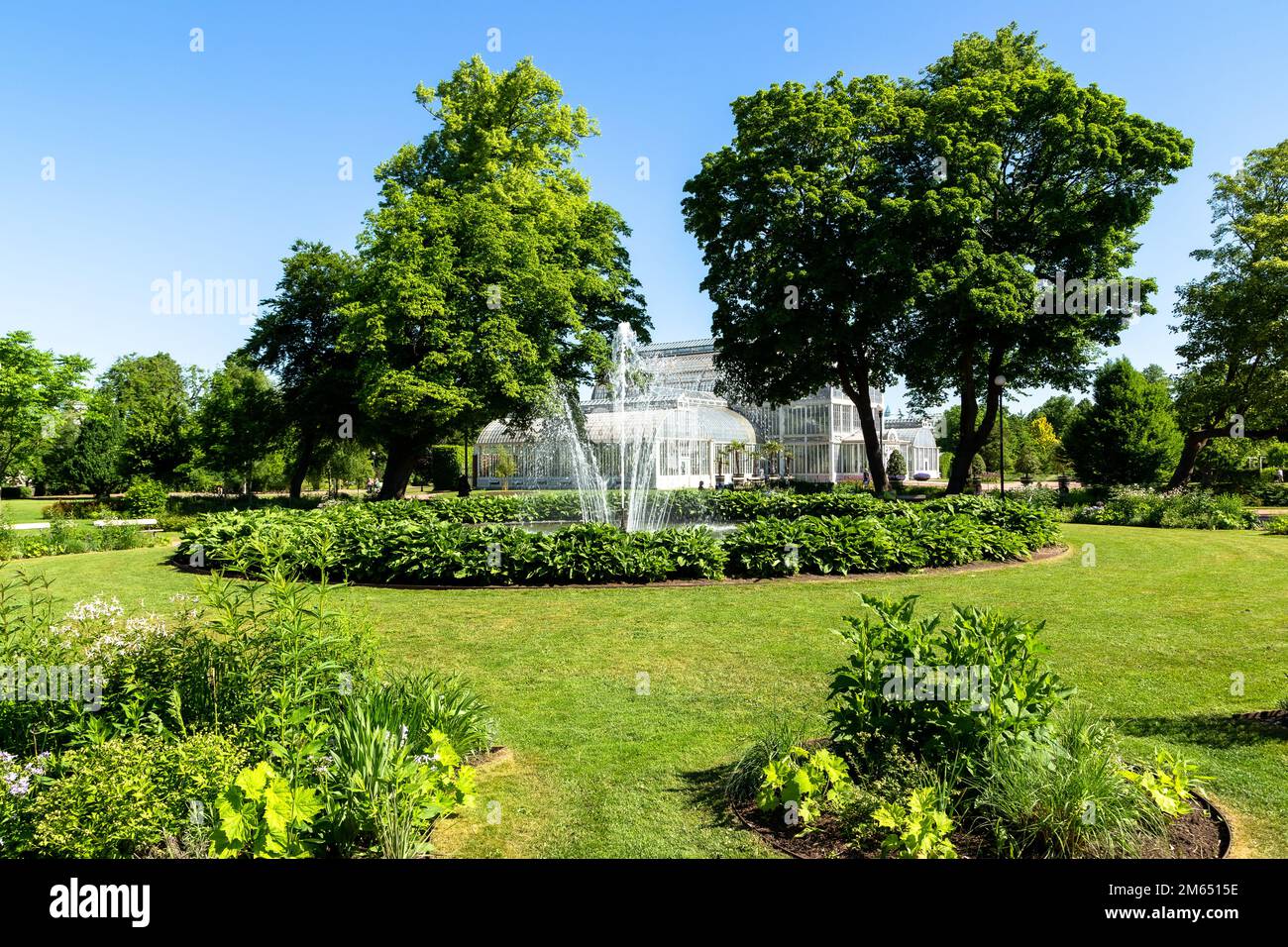 Purple Flowers, Fountains and trees outside the palm house in ...