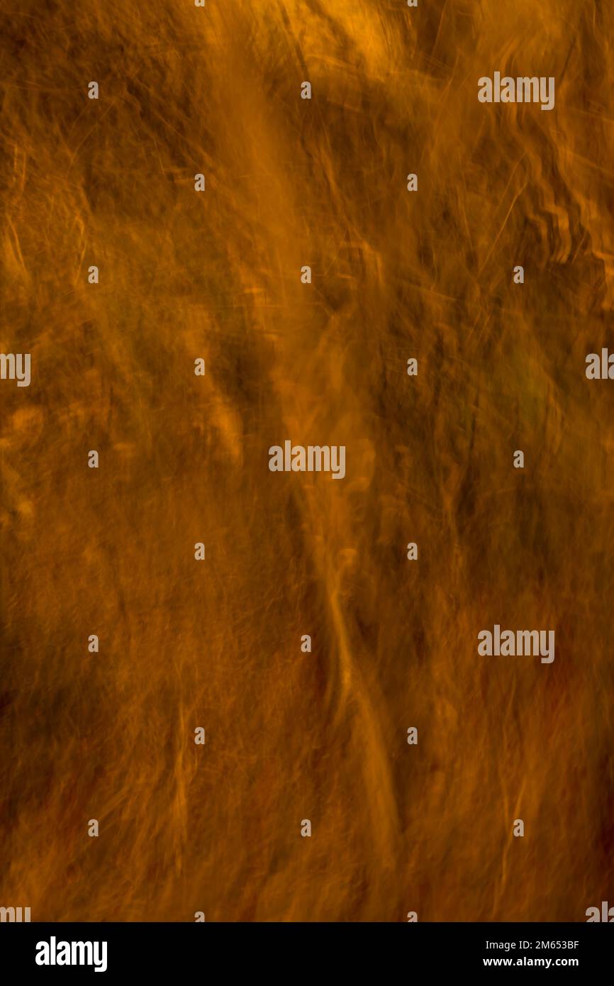 Copper defocused abstract smooth asymmetric gradient background Stock ...