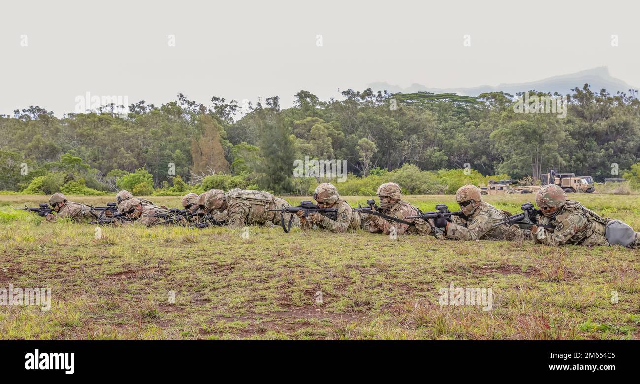Hawaii Army National Guard Soldiers with 1st Battalion, 487th Field ...