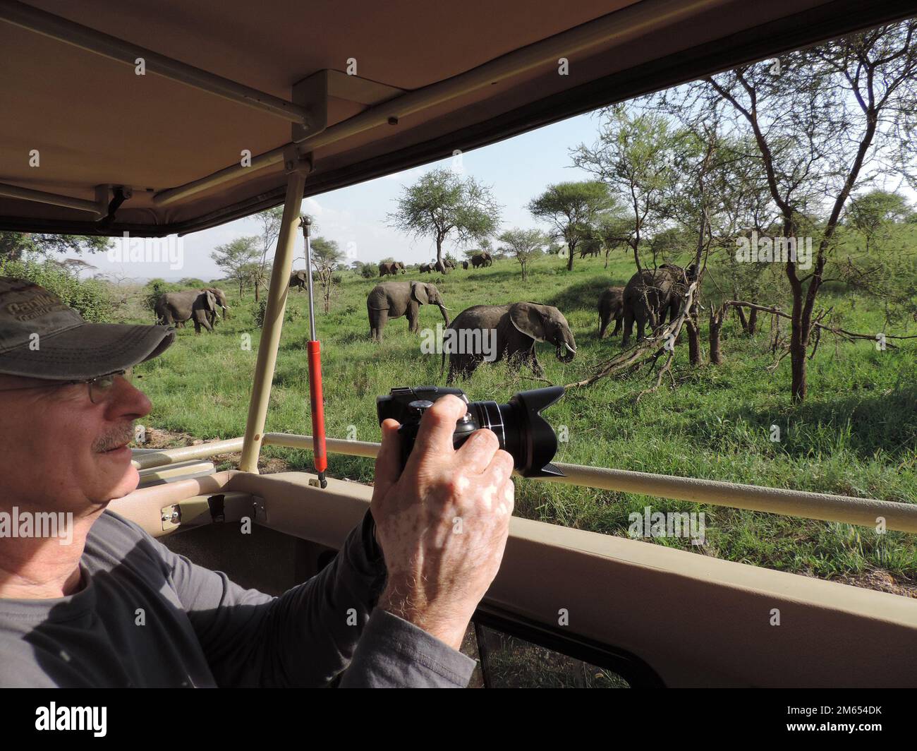 Tourist photographing elephants from a safari off-road car in the ...