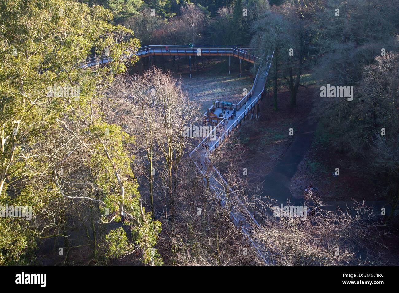 Wicklow, Ireland - January 2nd 2023: Avondale treetop walk at Avondale ...