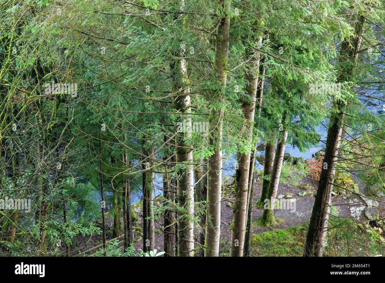 Avondale hi-res stock photography and images - Alamy