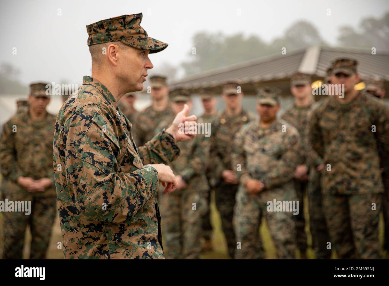 U.S. Marine Corps Col. Douglas R. Burke, commanding officer of Combat ...