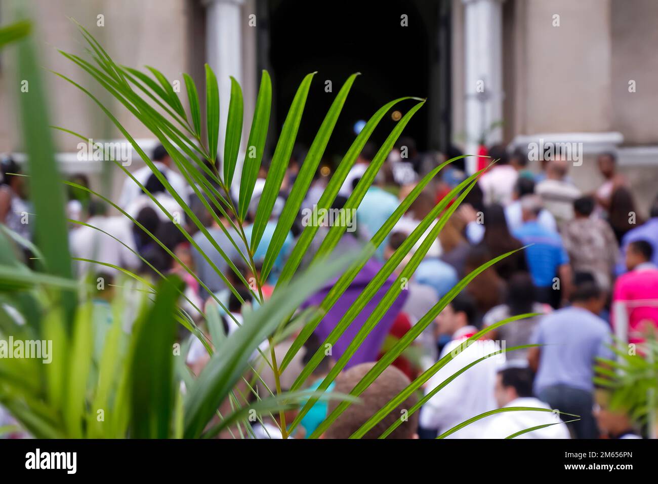 Holy Week. Traditional Catholic celebrate Palm Sunday. Christian faith Stock Photo - Alamy