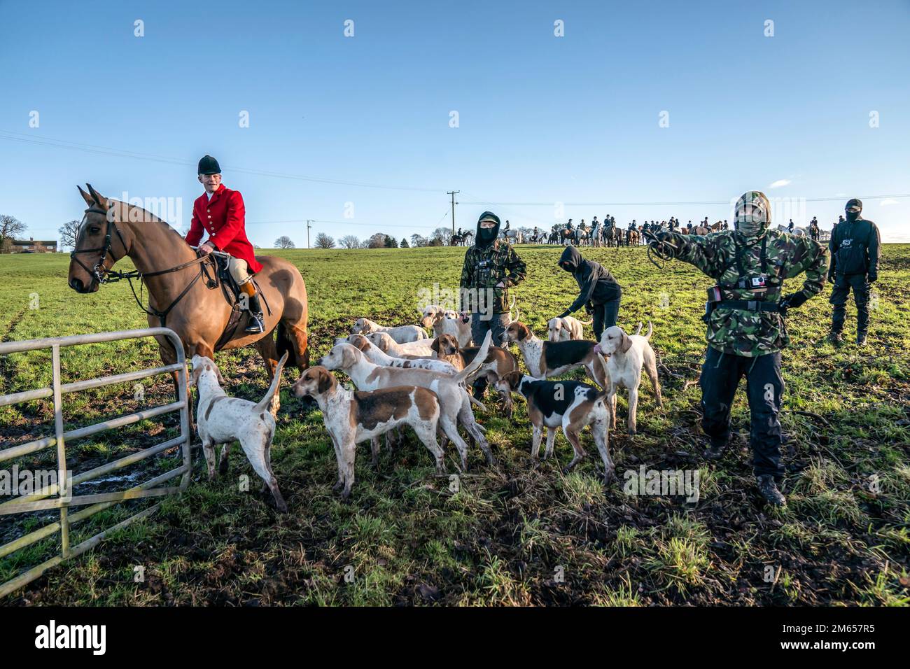 Meynell and south staffordshire hunt hi-res stock photography and ...