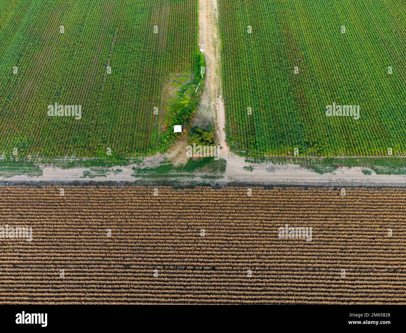A scenic landscape in farm lands Stock Photo - Alamy