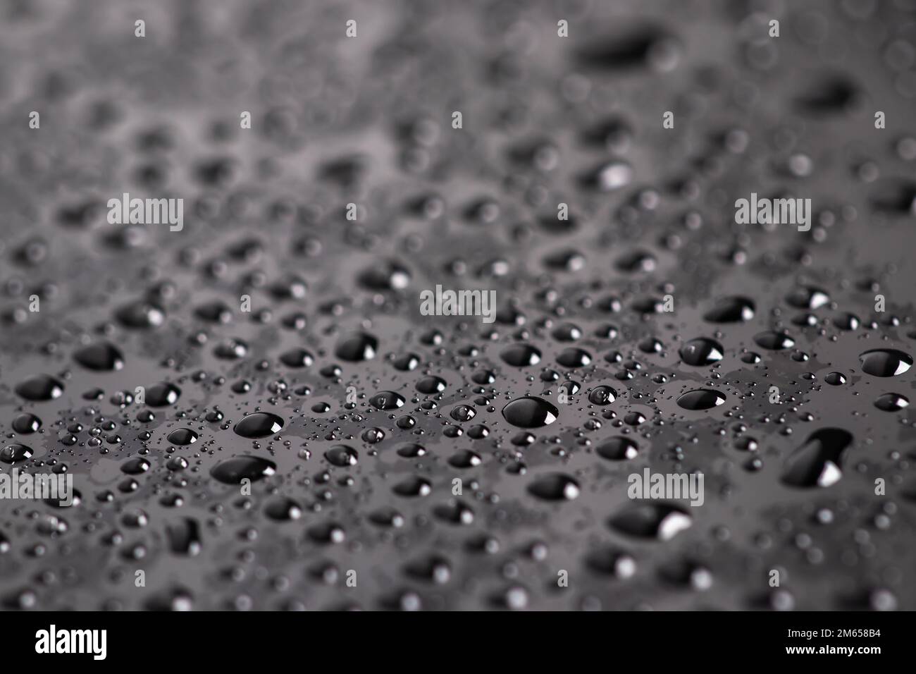 Water drops on the surface covered with foil. Surface tension Stock ...