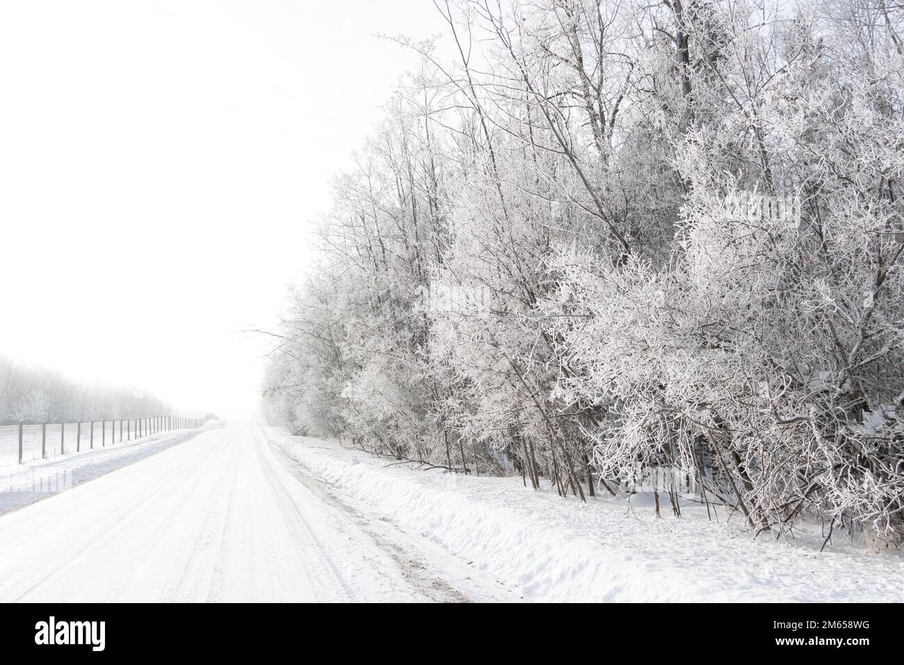 white snow covered road with hoar frost bitten trees and fence line ...