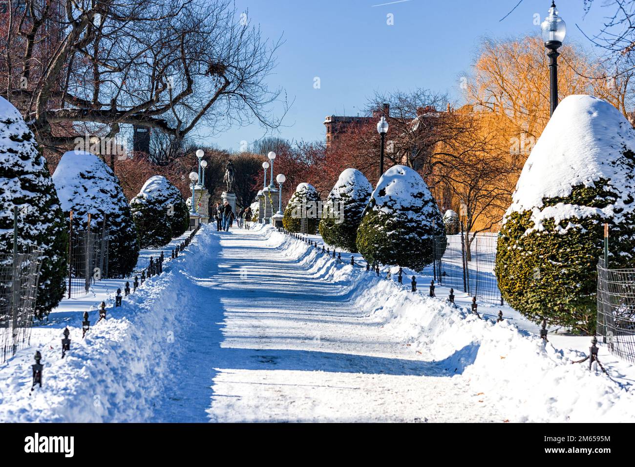 Boston Park and George Washington Statue. Massachusetts, USA Stock ...