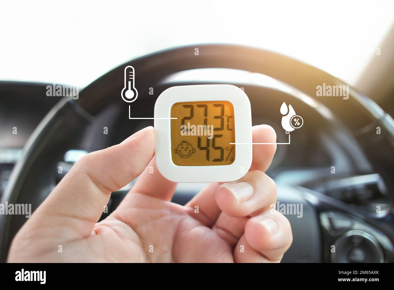 Thermometer and humidity instrument with temperature and humidity ...