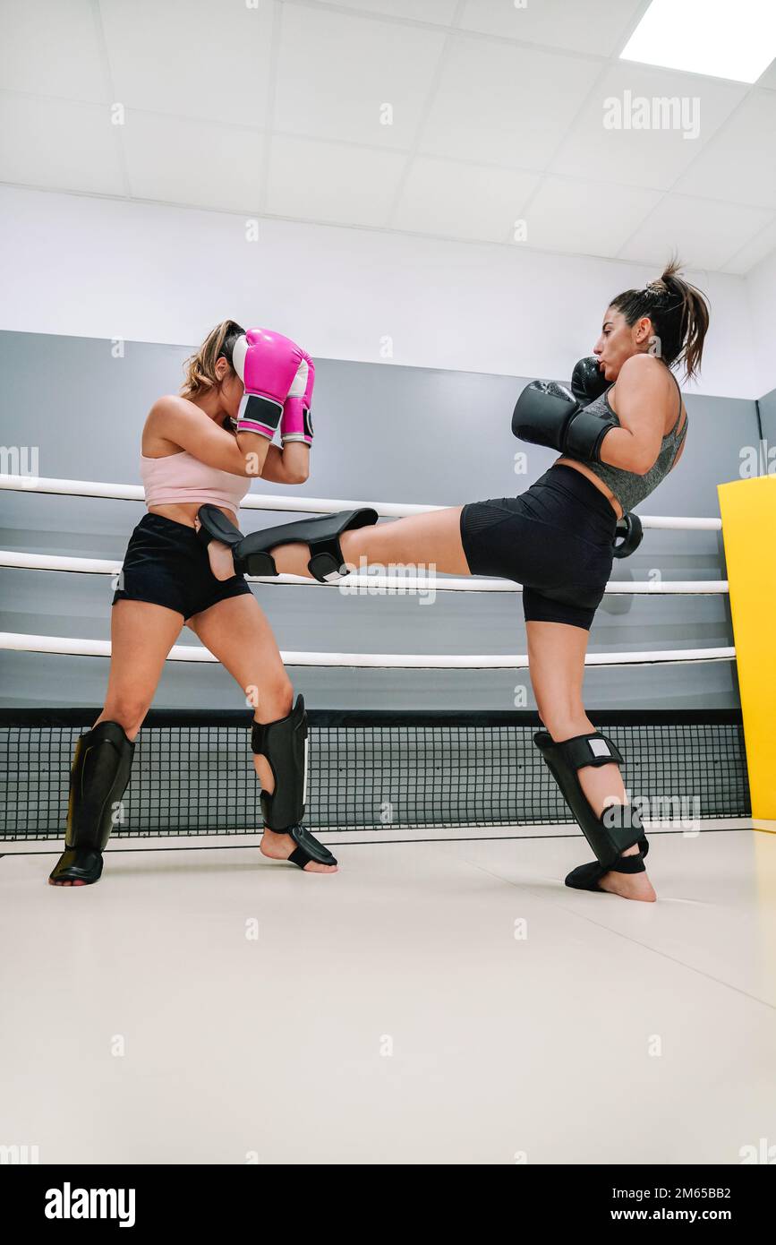 Female kickboxer with leg protectors giving a front kick to her partner ...