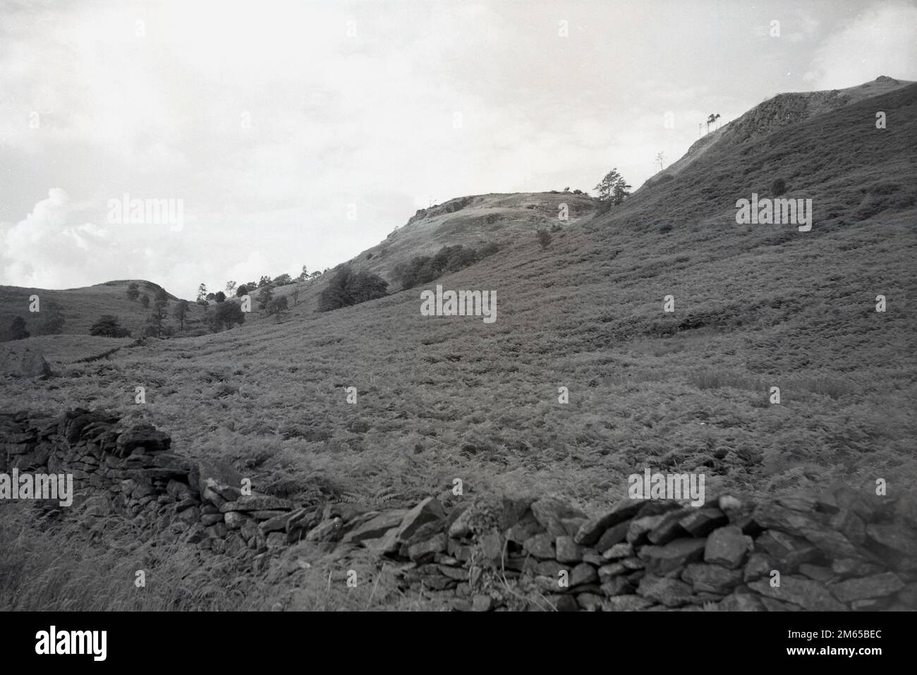 1950s, historical, hillside, Lakedistrict, Cumbria, England, UK Stock ...