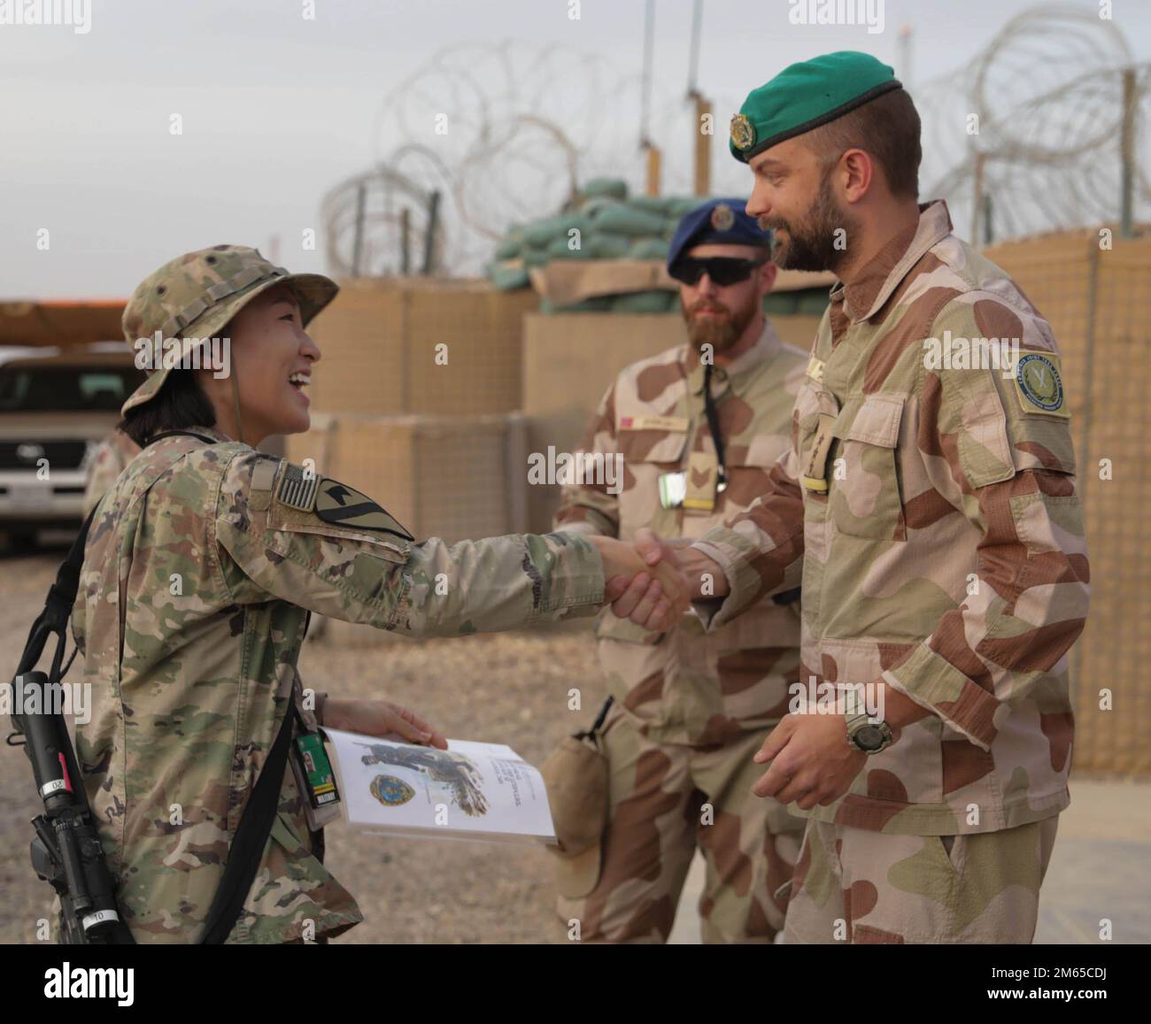 A Norwegian officer presents the Norwegian Ruck March pin and ...