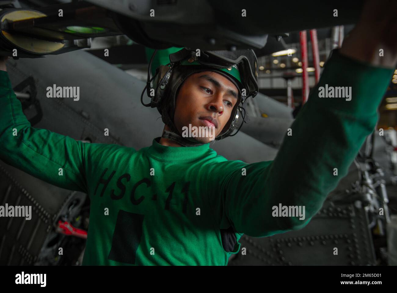 Moves his tail hi-res stock photography and images - Alamy