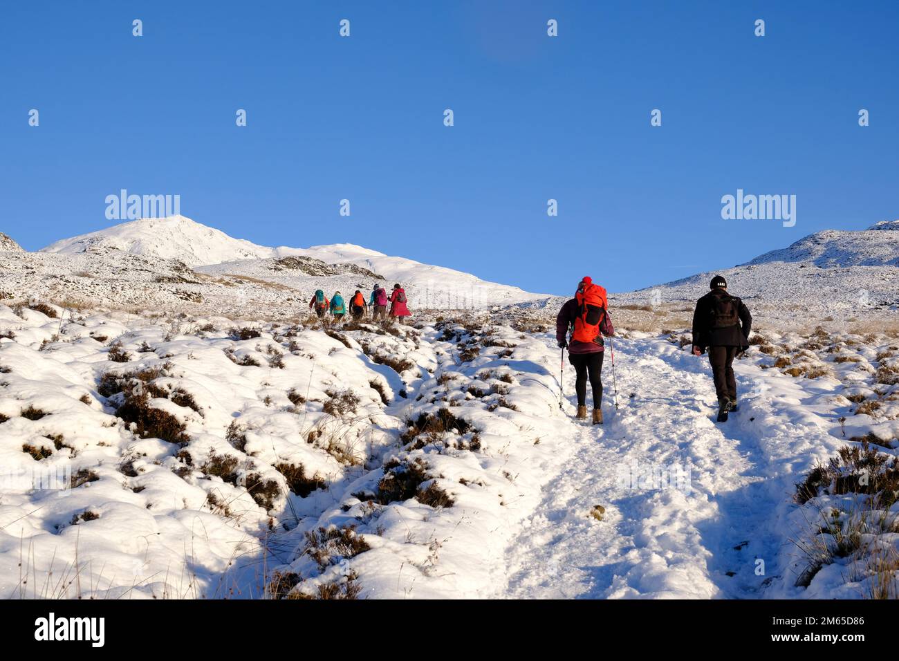 Snow scotland january 2023 hi-res stock photography and images - Alamy