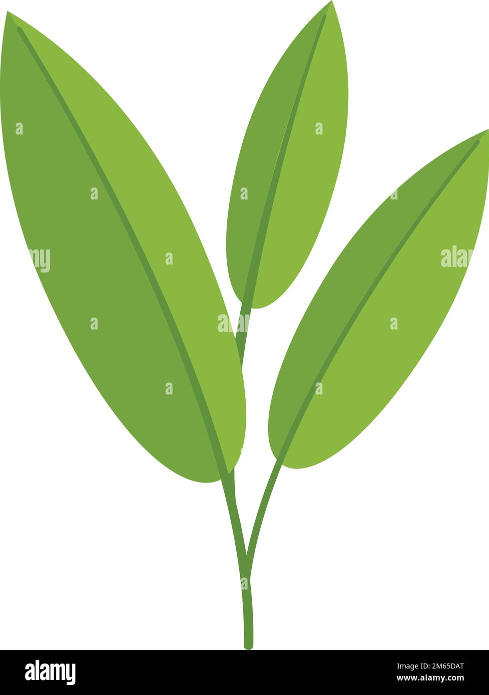 Sage plant icon flat vector. Herb leaf. Stick smudge isolated Stock ...