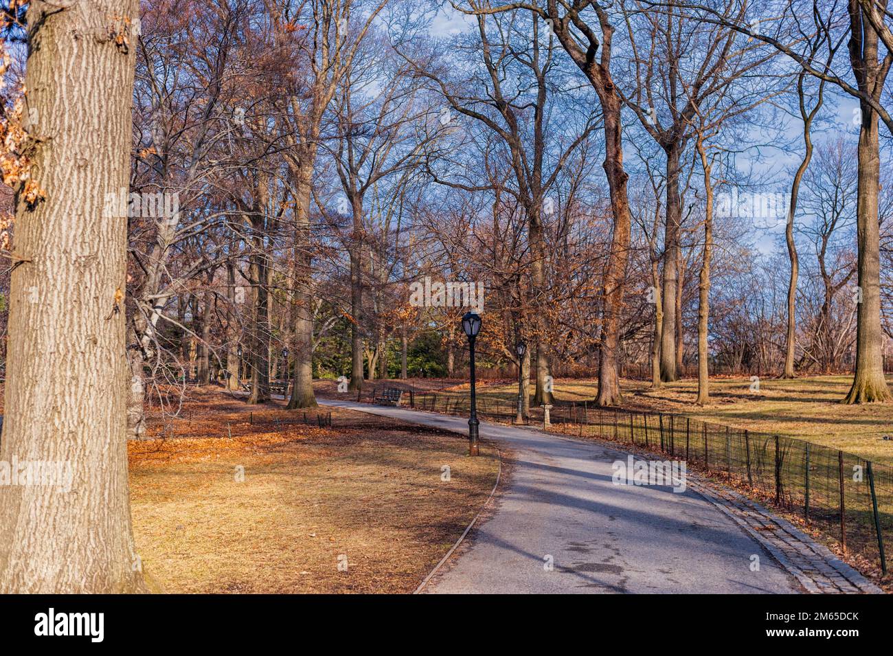 Central Park in New York, NYC, USA. Winter. Empty Path with No People ...