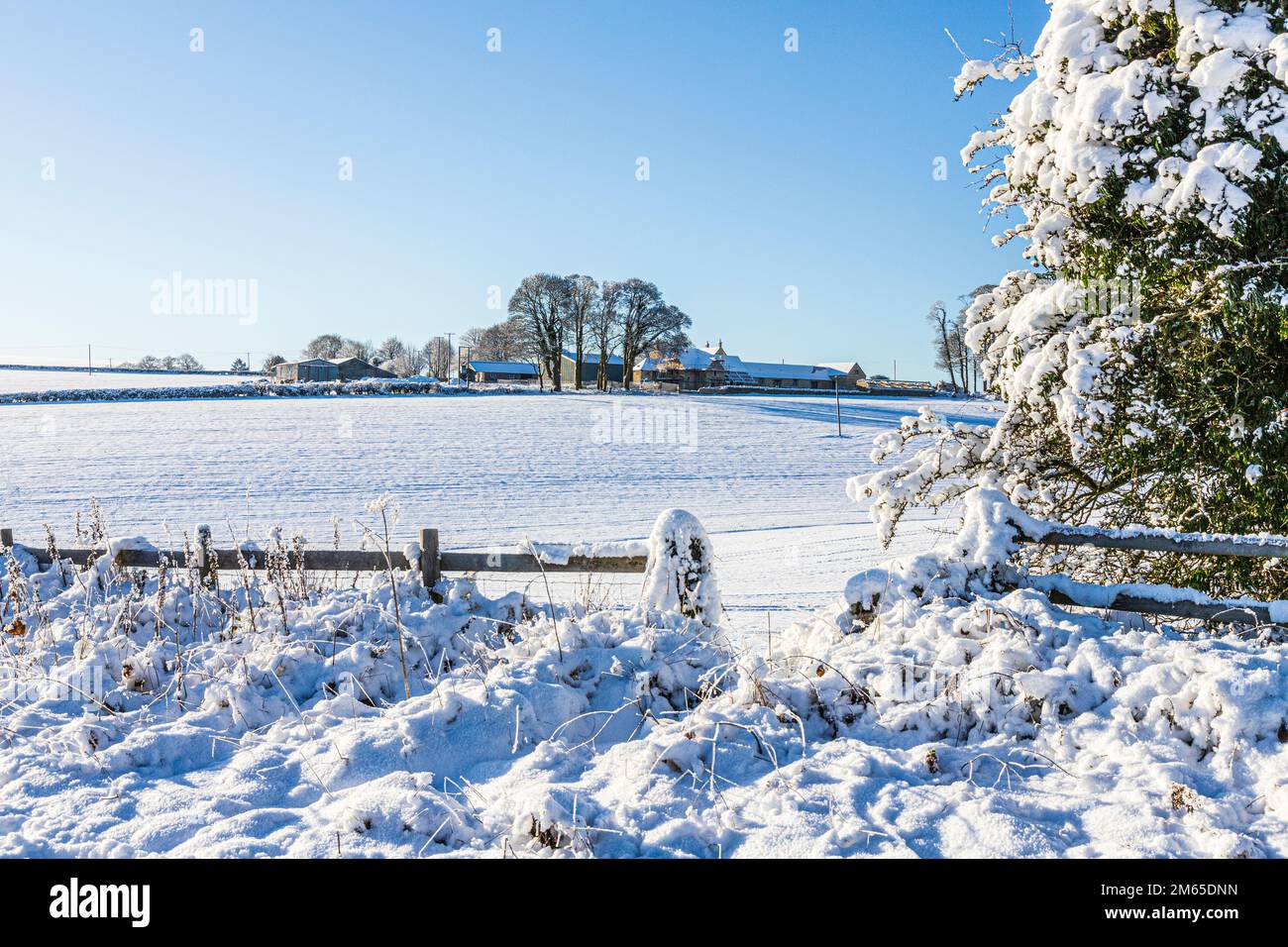 Early winter snow on Blacklains Farm near the Cotswold village of ...