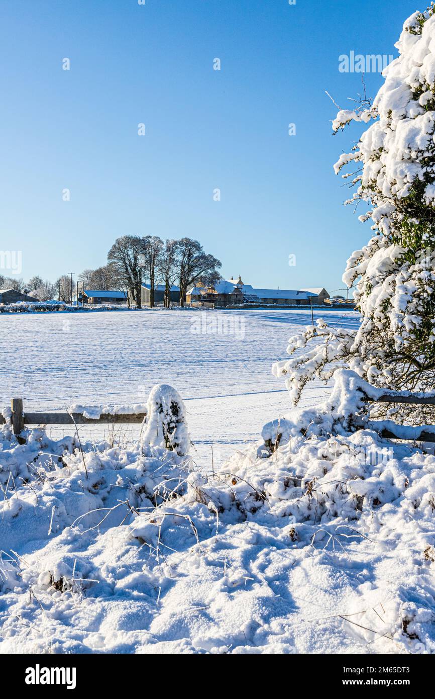 Early winter snow on Blacklains Farm near the Cotswold village of ...