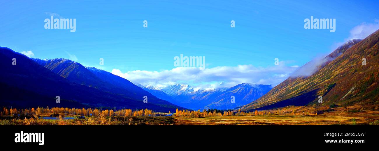 A gorgeous panoramic landscape in Alaska with sunlit yellow fields and ...