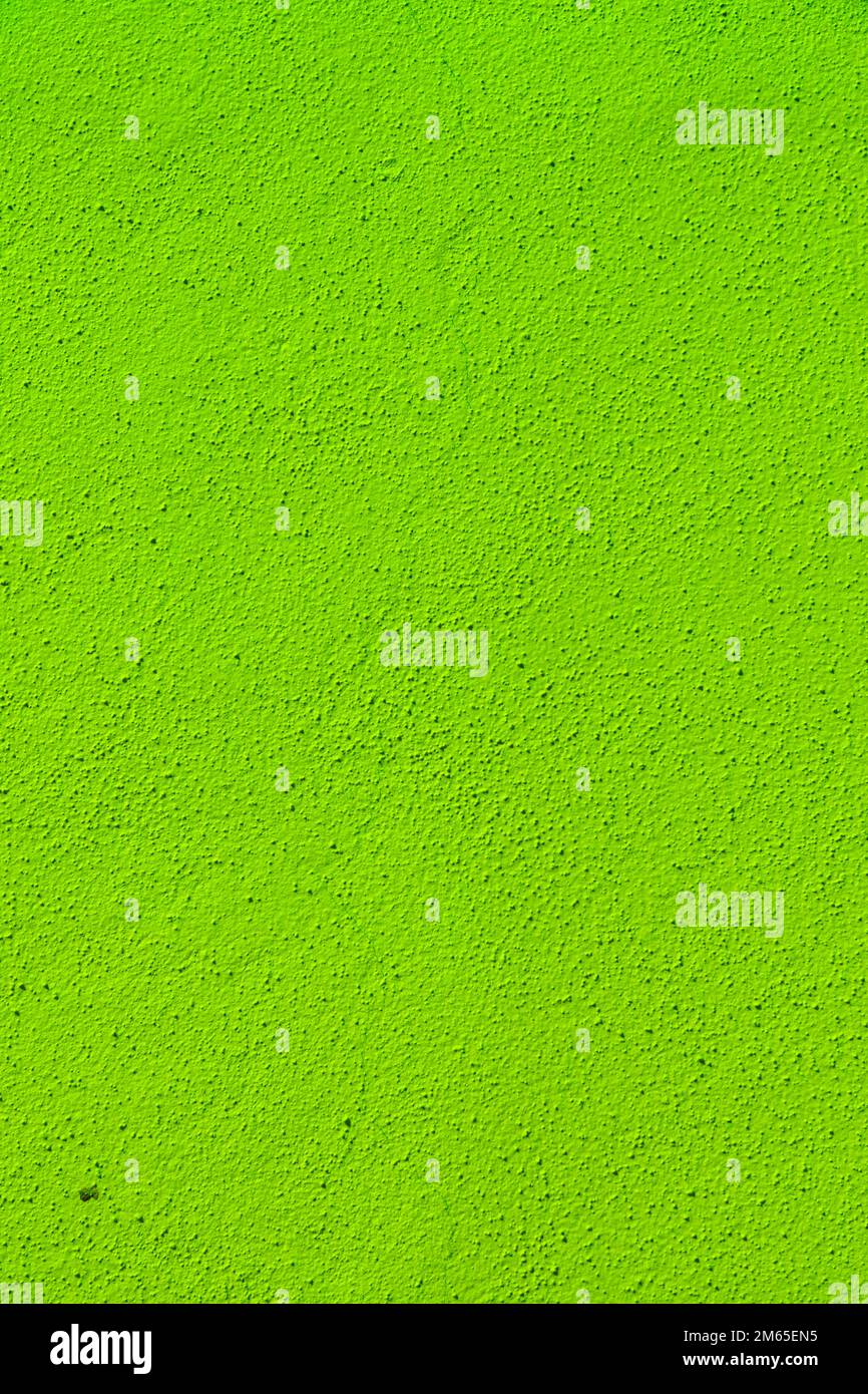 harmonic green wall background with copy space Stock Photo - Alamy
