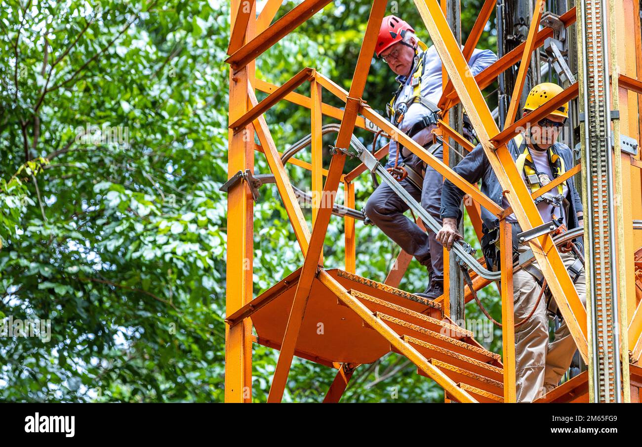 Amazon tall tower observatory hi-res stock photography and images - Alamy