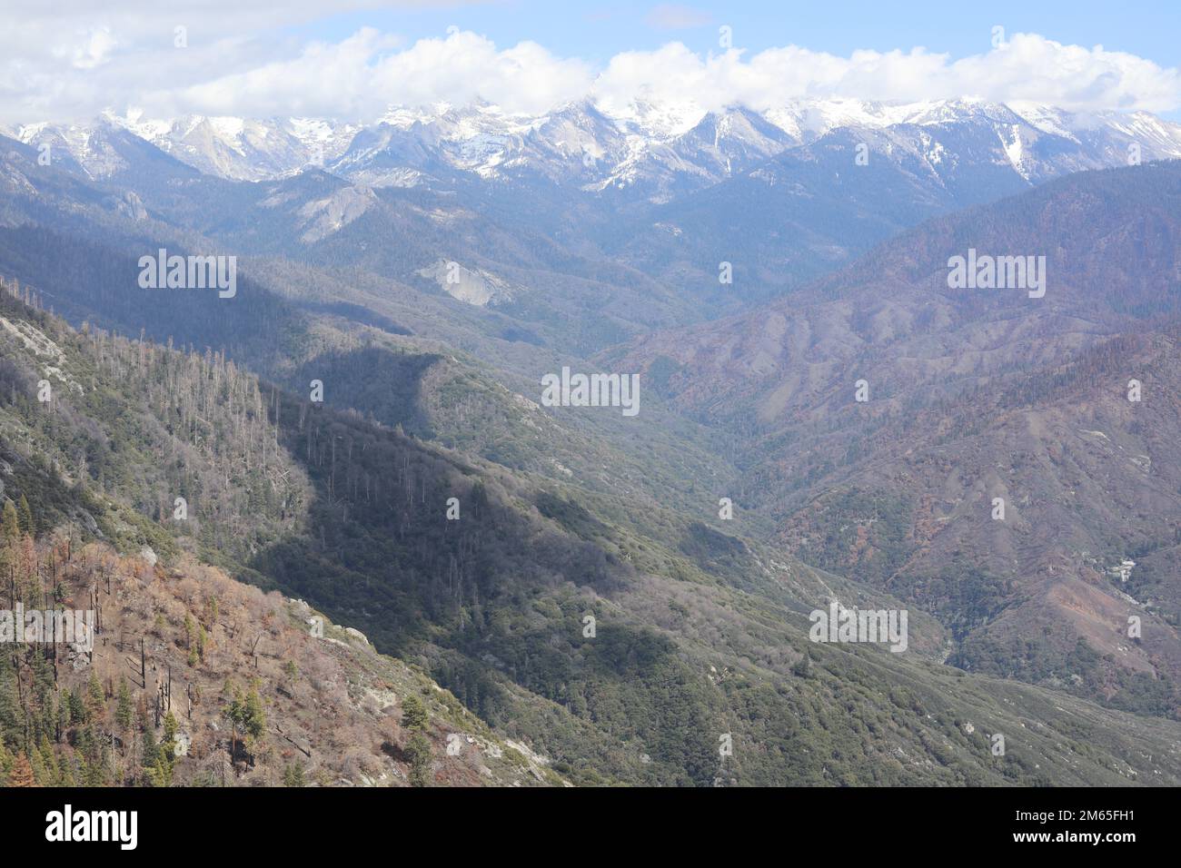 Can you feel the freedom Stock Photo - Alamy
