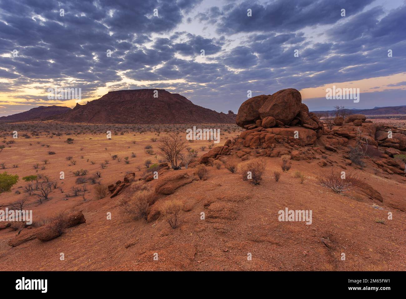 Namibian landscape, red ground and African vegetation around ...