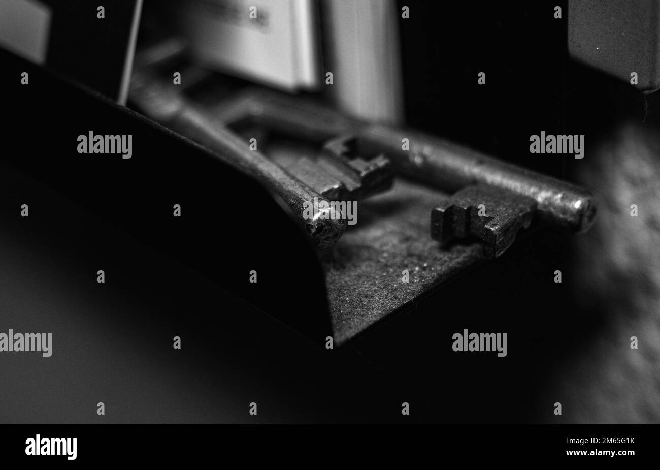A black and white closeup shot of keys on a metallic surface with a ...