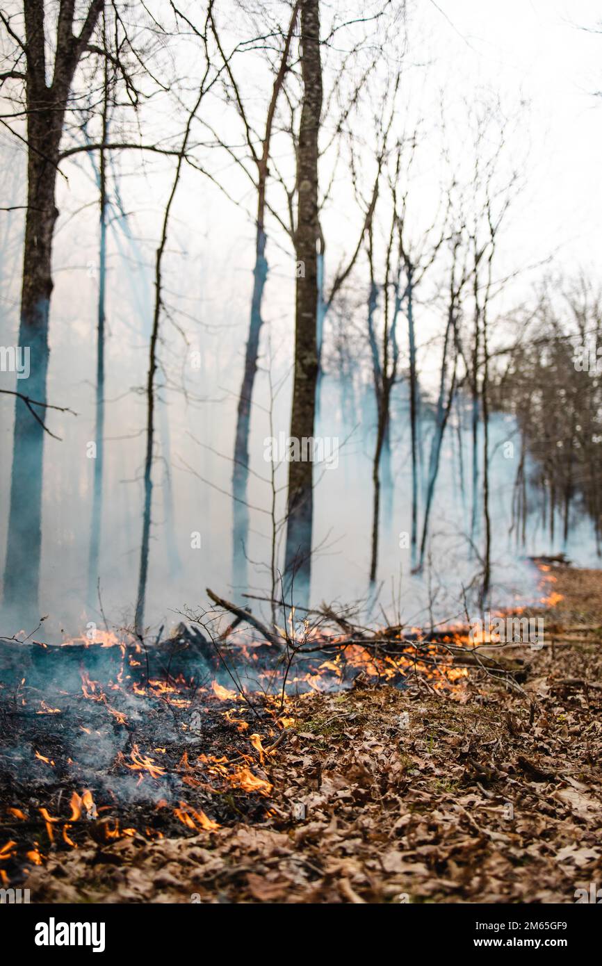 Quantico Fire & Emergency Services and Natural Resources Environmental ...