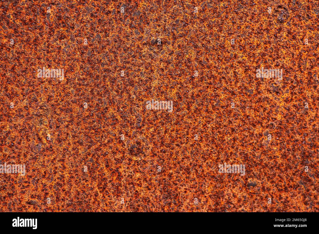 Texture of rusty iron. Background and texture of rusty on iron with ...