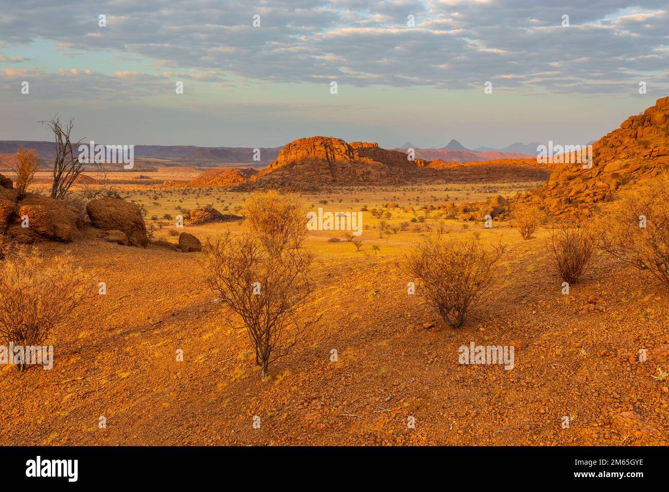 Namibian landscape, red ground and African vegetation around ...
