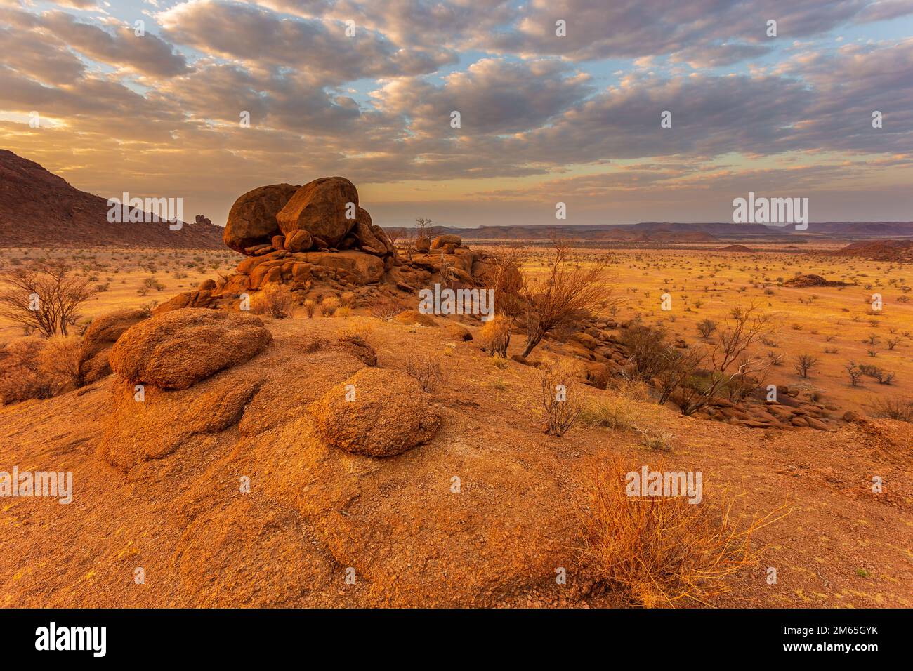 Namibian landscape, red ground and African vegetation around ...