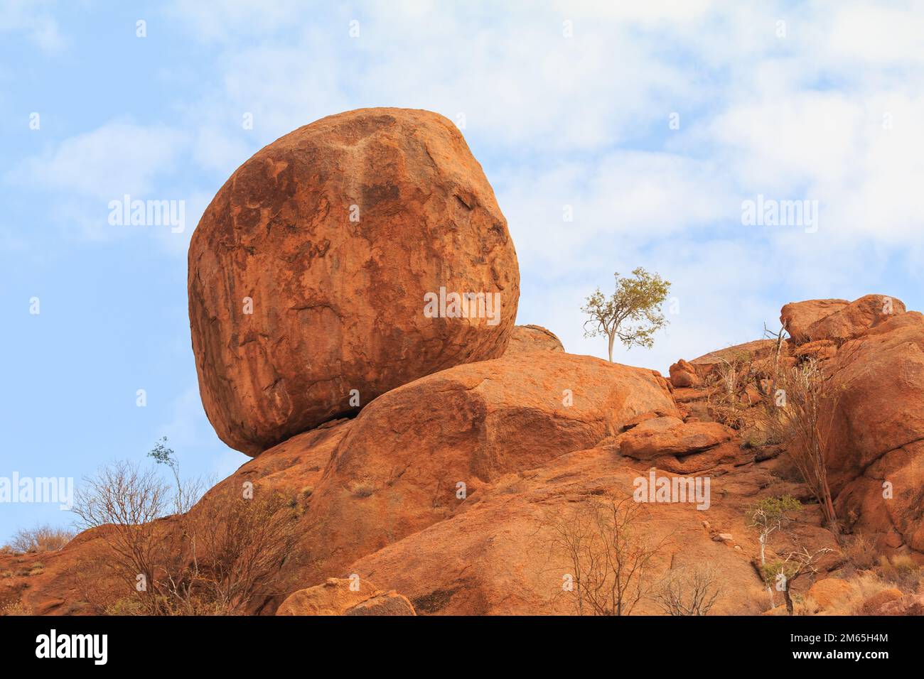 Namibian landscape, red ground and African vegetation around ...
