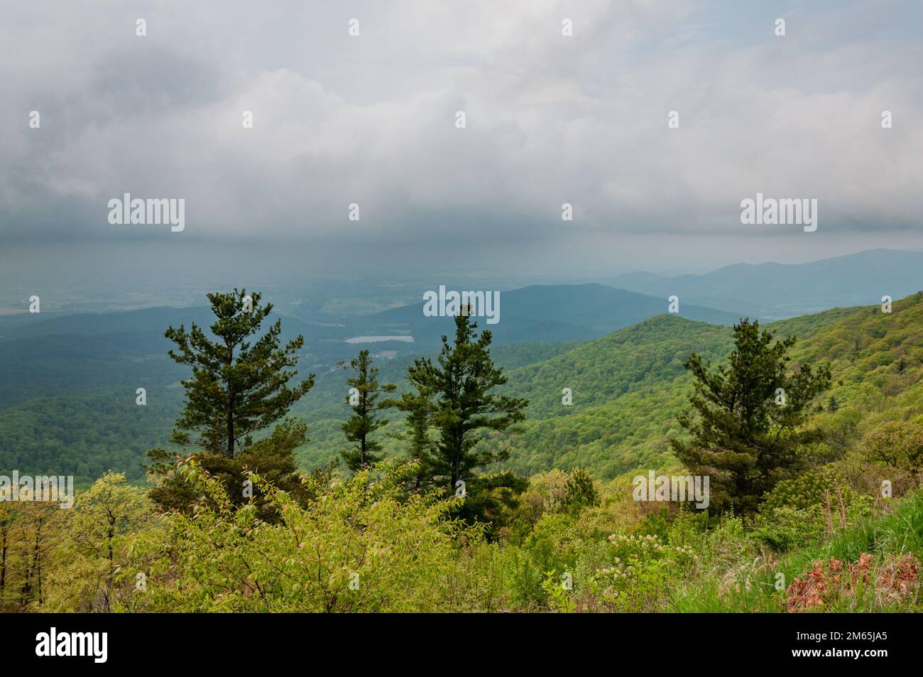 Summer Rainstorm in the Appalachians, Shenandoah National Park ...