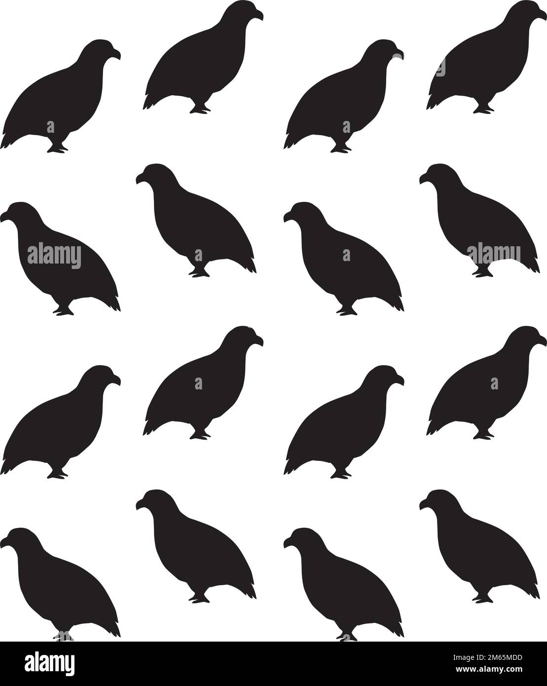 Vector seamless pattern of hand drawn doodle sketch partridge bird ...