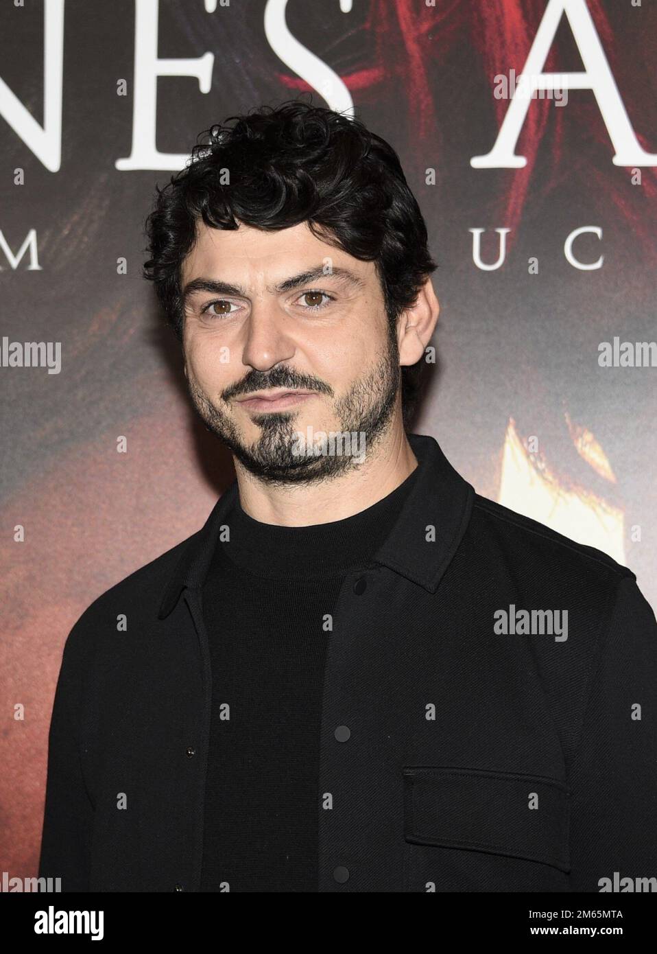 Milan, Italy. 13th Nov, 2022. Milano, Italy Bones and All film ...