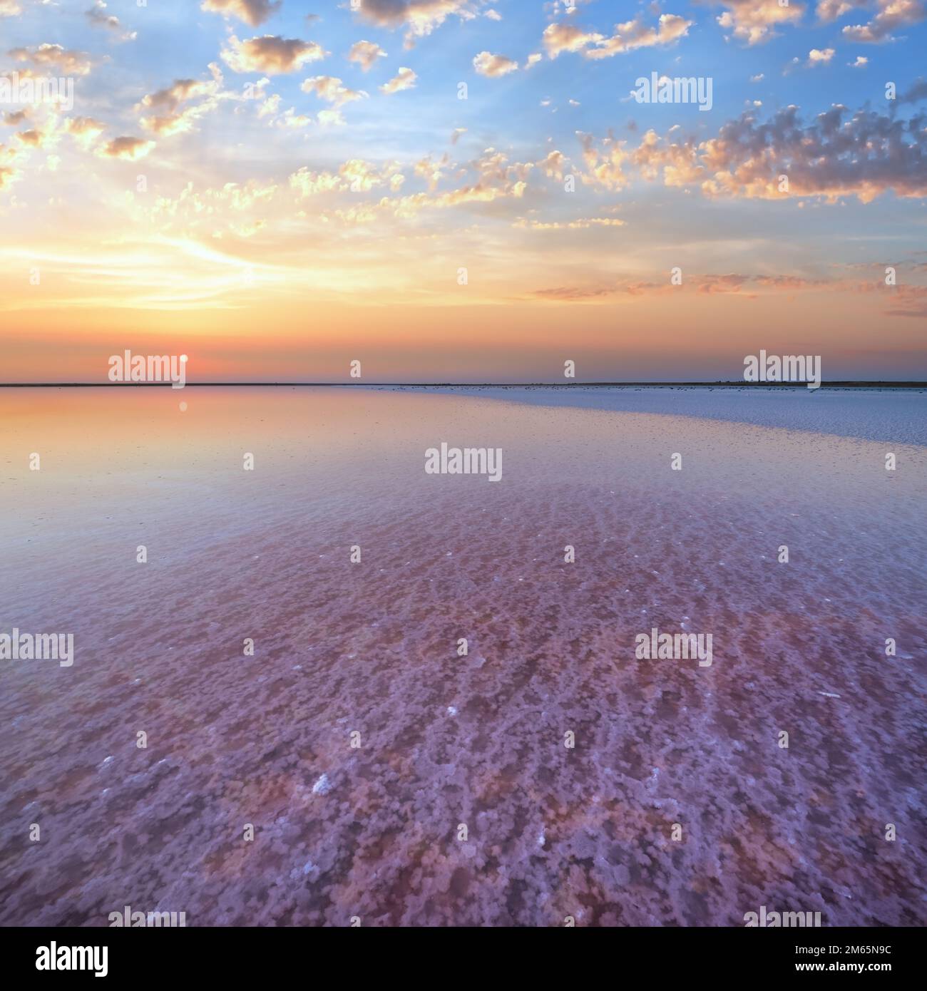 Sunset on the Genichesk pink extremely salty lake (colored by ...