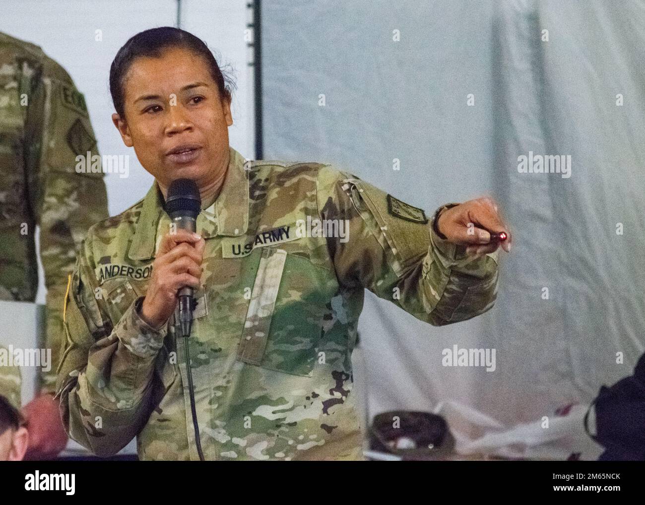 Army Lt. Col. Ann Anderson, the 20th CBRNE Command's assitant chief of ...