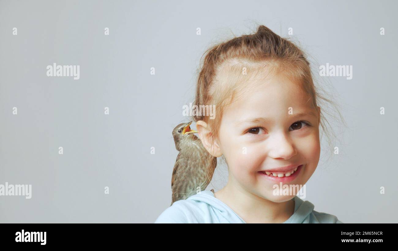 Grown up starling nestling sit on shoulder of little girl and sing with ...