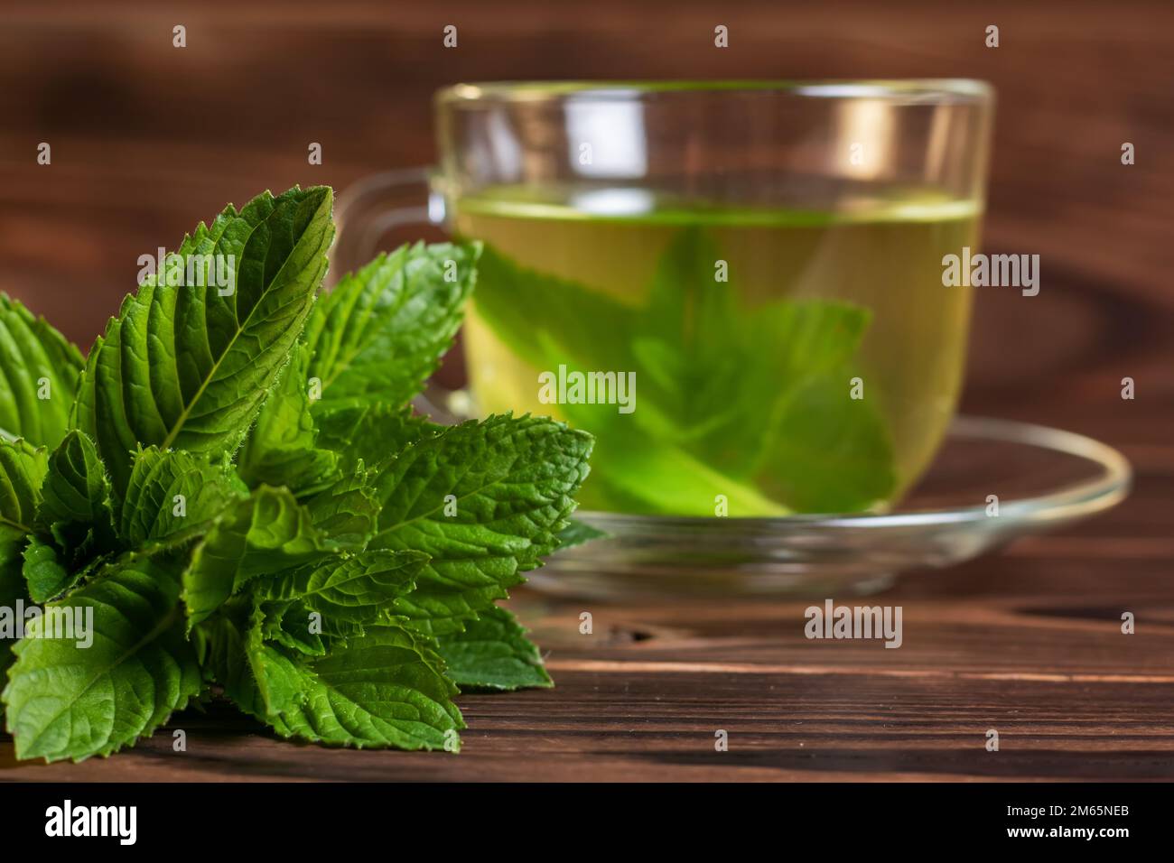 Fresh mint leaves on the background of a cup of tea with mint Stock ...