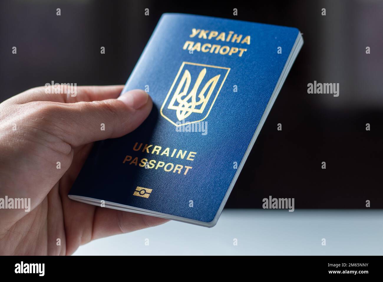 New ukrainian blue biometric passport with identification chip in hands ...