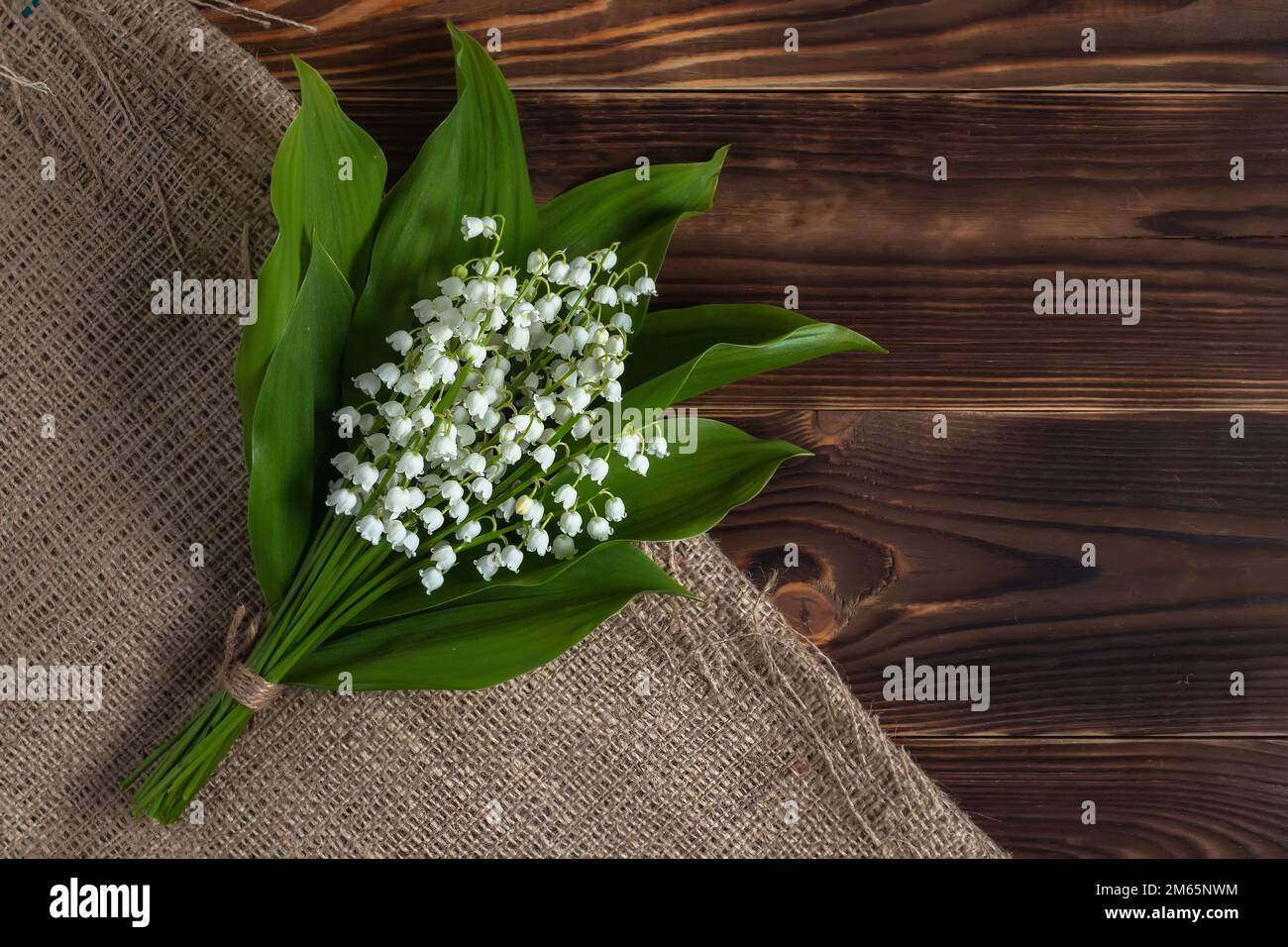 Small and fragrant spring flowers. Bouqet of lily of the valley flowers ...