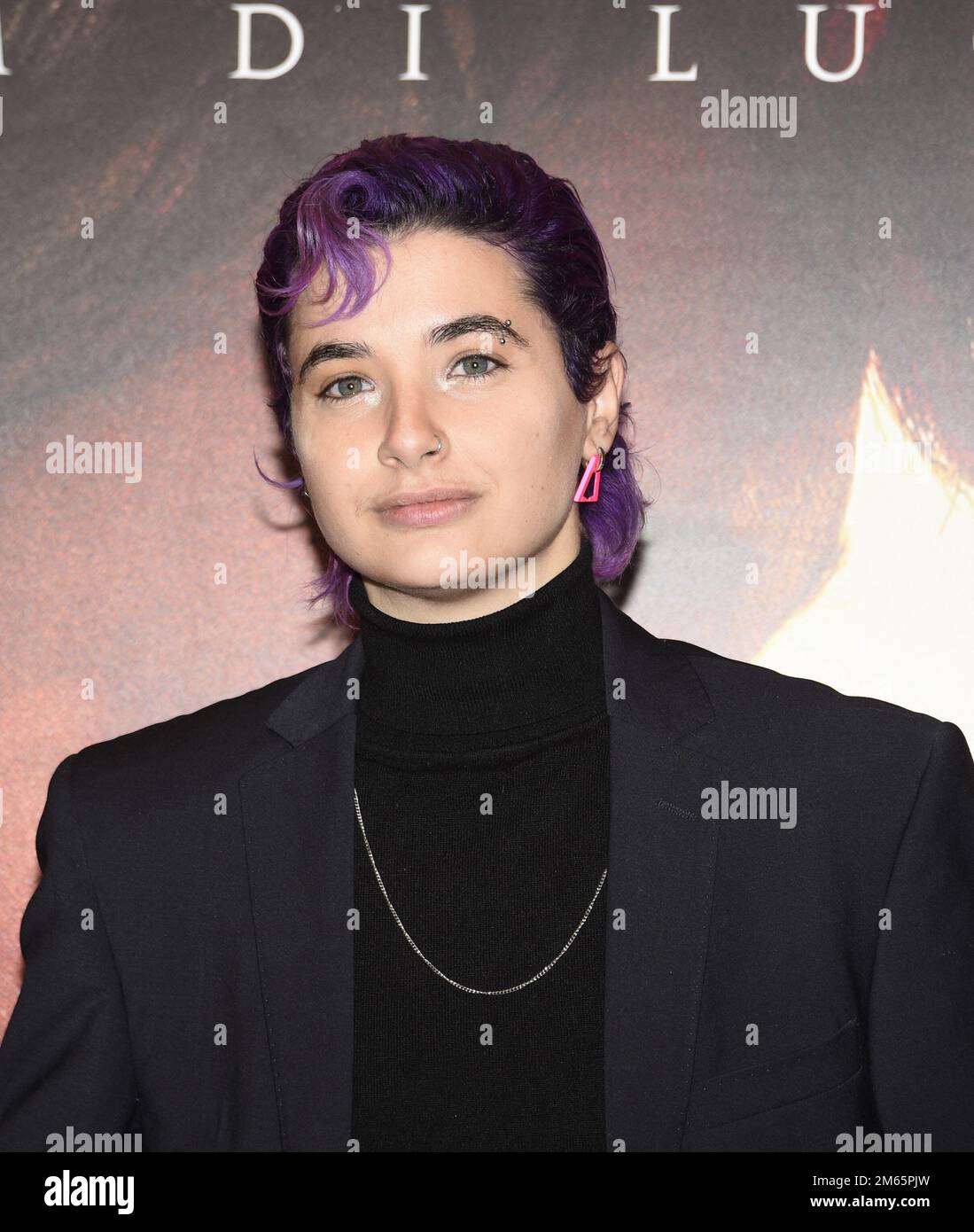 Milan, Italy. 13th Nov, 2022. Milano, Italy Bones and All film ...