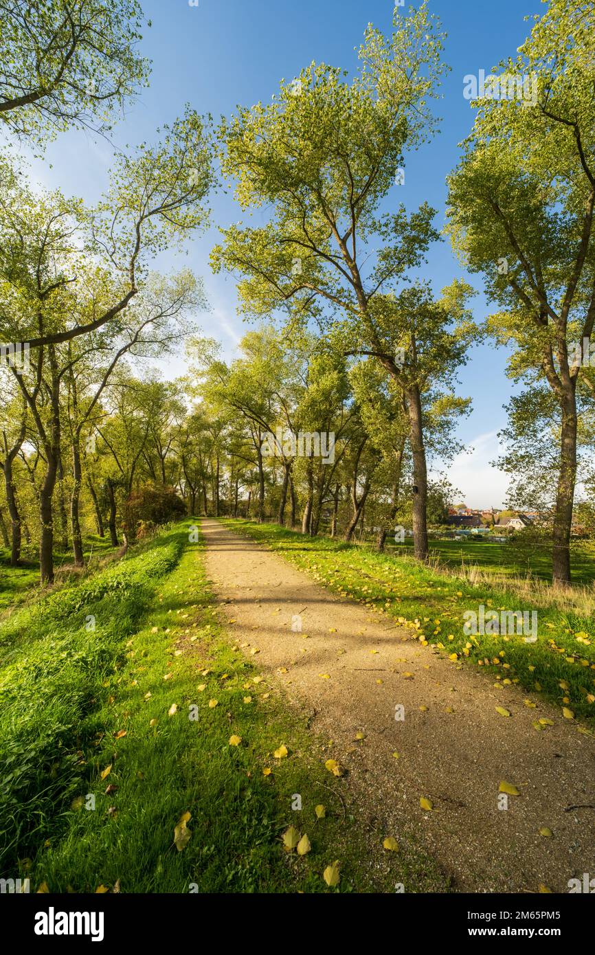 Walking path on the old ramparts of Sluis, the Netherlands Stock Photo ...
