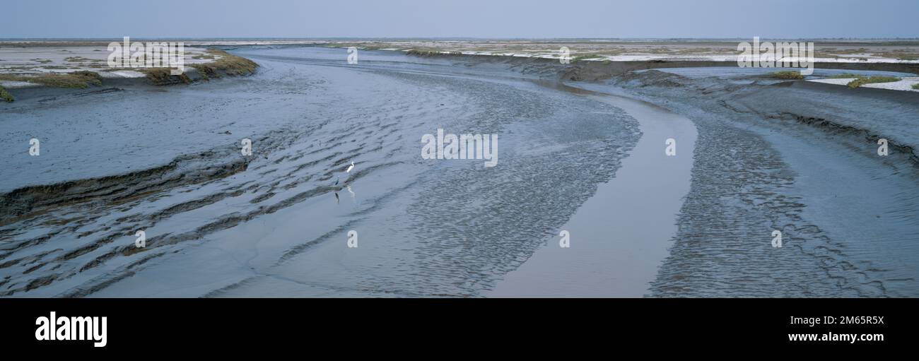 Gulf of khambat river hi-res stock photography and images - Alamy